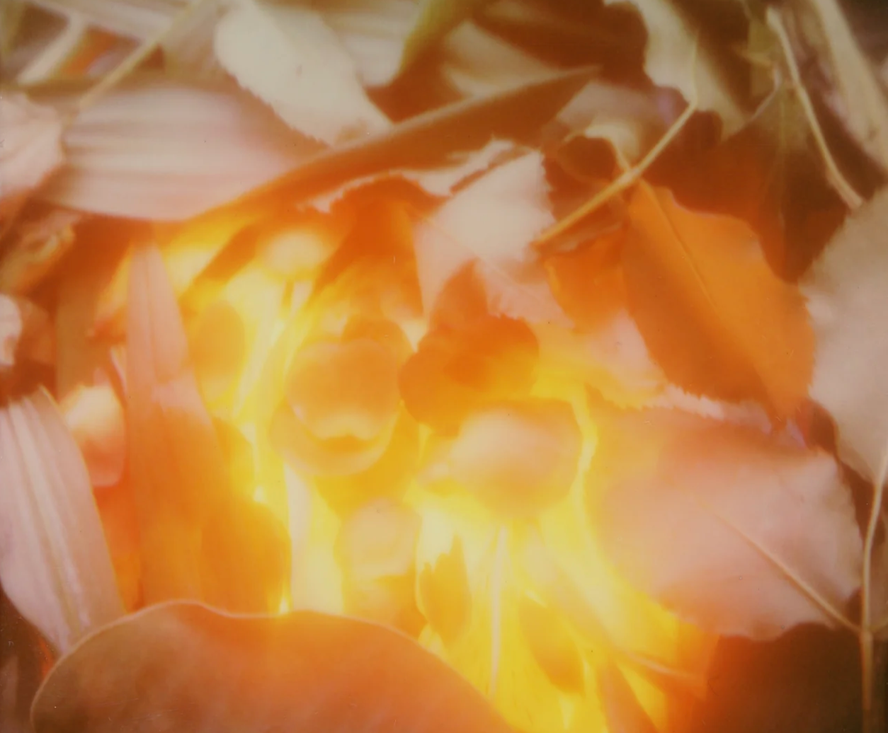 Indica & Ambrette Apothecary – Nomada Deco