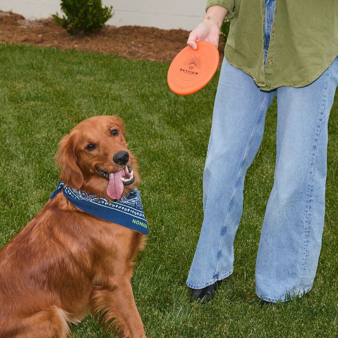Skyview Frisbee – Nomada Deco